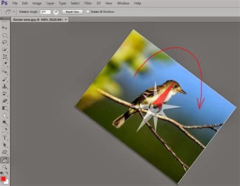 Rotate View Photoshop Fodautomation