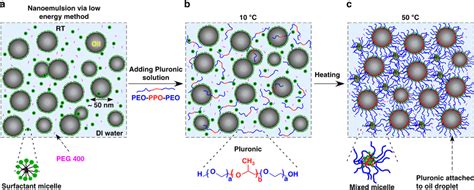 Schematic Diagram Of The Nanoemulsion System And Hypothesized Gelation Download Scientific