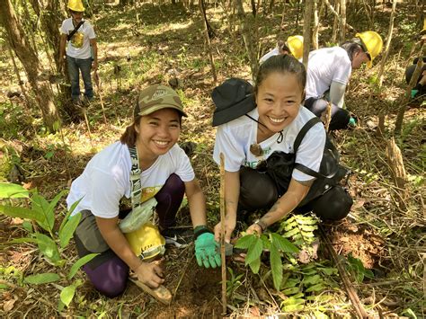 Tree Planting Activity In The Philippines Leaving A Legacy For Future Generations SMEC