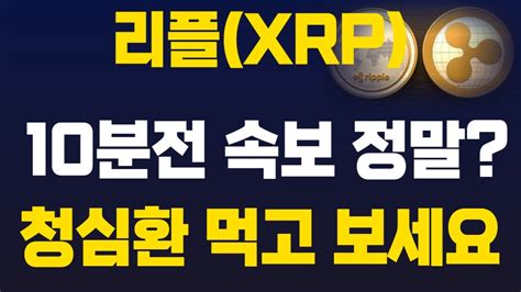 리플 10분전 속보 나왔어요 리플이 왜 이렇게 흘러가는지 지금 바로 이해됩니다 리플 Youtube
