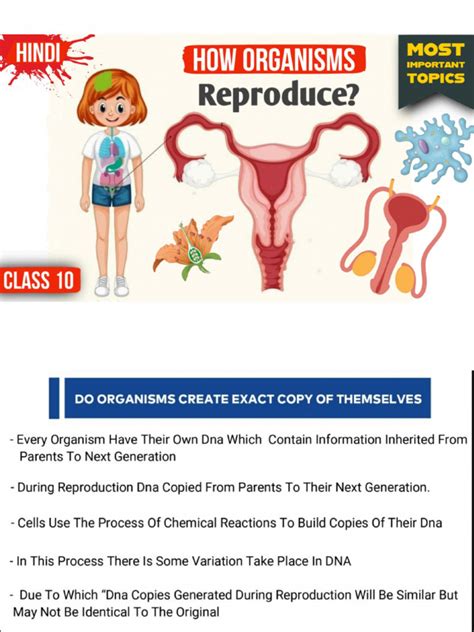 How Do Organism Reproduce Class 10 Pdf