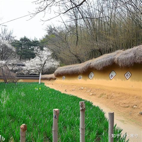 微软 New Bing 图像创造器页面 Create 上线，用户使用情况如何？ 知乎