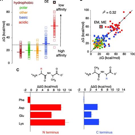 Comparison Of Performance Of Binding Affinity Predictions Using A Download Scientific Diagram