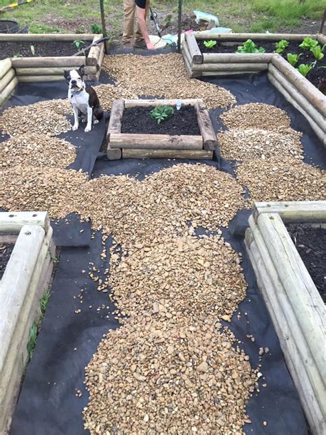 Ians Hope Ians Hope Added A New Photo