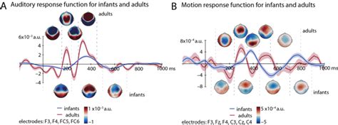 Comparison Of Infant And Adult Response Functions Mean Mtrf For Infant In Download