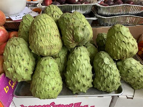 일등 고급과일 체리모야