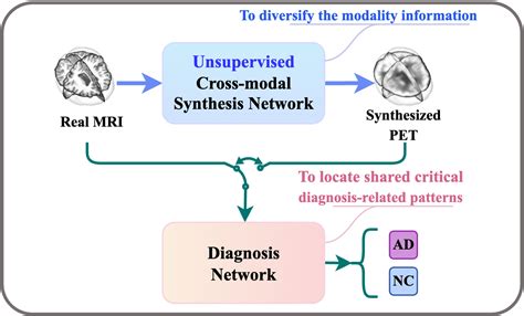 Chenhui Wang Homepage