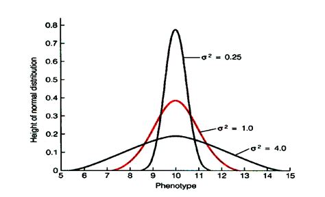 平均绝对误差，标准偏差和平均值的标准偏差有什么区别？？ 知乎