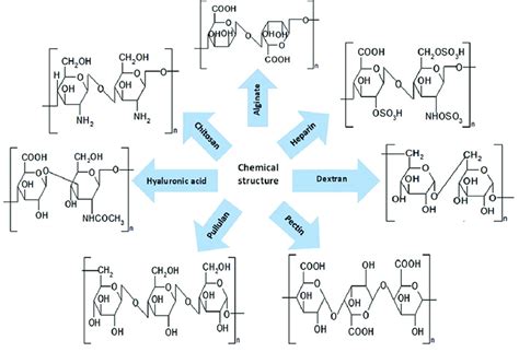 Polysaccharides Definition
