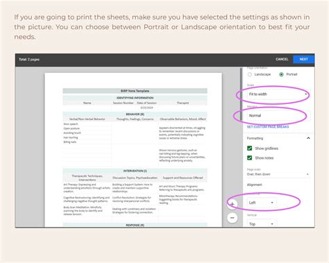 BIRP Note Template Therapist Templates Therapist Psychology Therapy Notes Psychotherapist