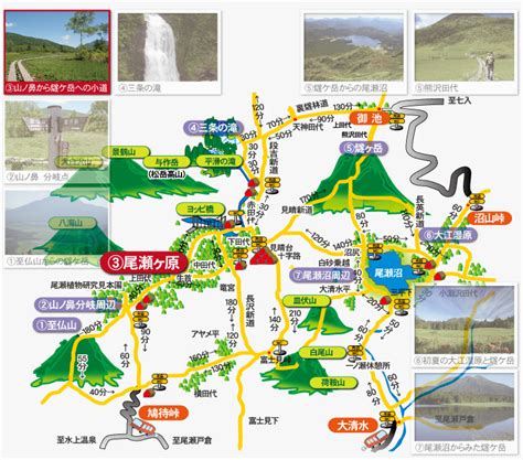 尾瀬ヶ原のみどころ
