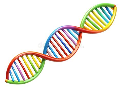 Colorful Cartoon Dna Double Helix Illustration For Educational Use In