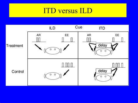 Ppt Auditory Objects Of Attention Powerpoint Presentation Free