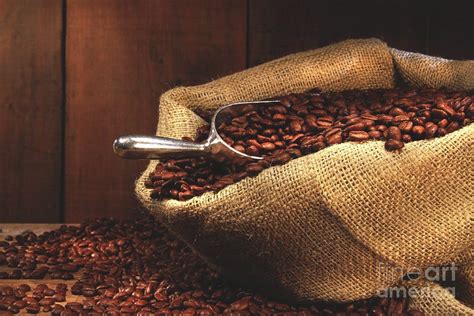 how did i refresh seaborn graph adding or removing new layers without recreating the main