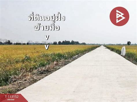 ขายที่ดิน 7 ไร่ แขวงคลองสิบสอง เขตหนองจอก ที่ดินร้อยแปด คอม