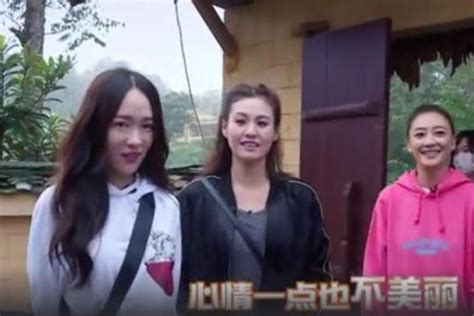 “爸爸5”妈妈们的婚姻经，林丽莹贤惠，应采儿厨艺不佳却鬼马
