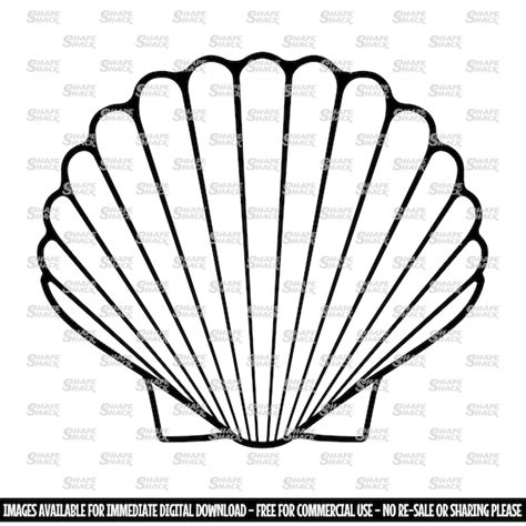Scallop Shell Outline