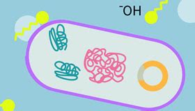LearnSci LabSim Miniprep Isolate Plasmid DNA