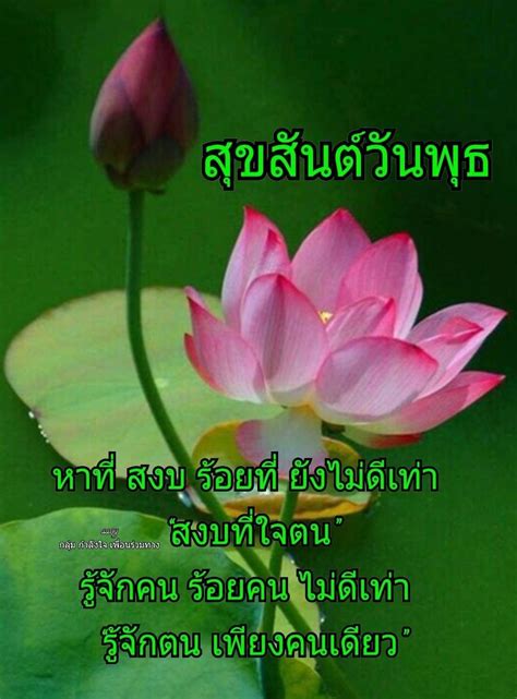 ปักพินโดย กำลังใจเพื่อนร่วมทาง ใน สวัสดีวันพุธ วันพุธ สวัสดีตอนเช้า คำคม
