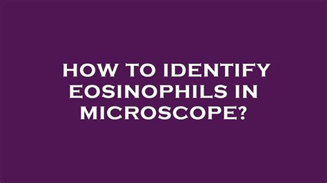 How To Identify Eosinophils In Microscope Youtube