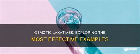 Osmotic Laxatives Exploring The Most Effective Examples Medshun