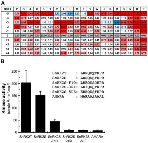 ost1 substrate preferences a the position specific scoring matrix download scientific