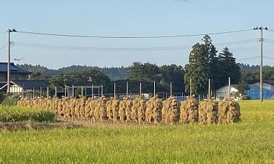 ほんにょ発見 胆沢まるごと案内所