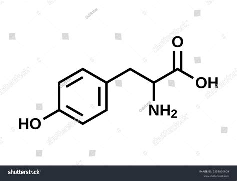 Amino Acid Tyrosine Structural Formula Vector Stock Vector Royalty