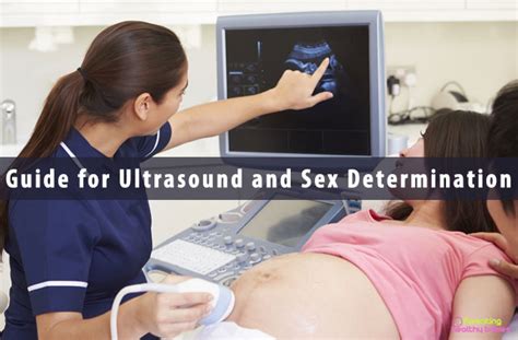 Decoding Ultrasound Screening And Sex Determinations For New Parents