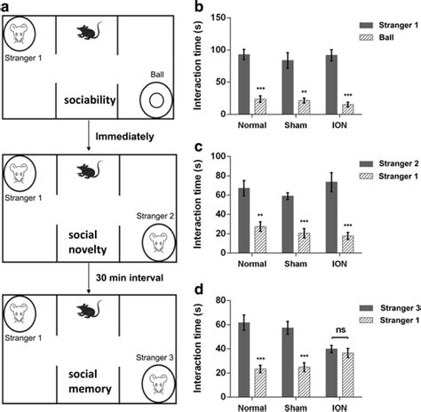 oxytocin is implicated in social memory deficits induced by early sensory deprivation in mice