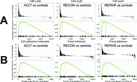 Gsea Enrichment Plots Gsea Enrichment Plots For A 1 Week Aclt Download Scientific Diagram