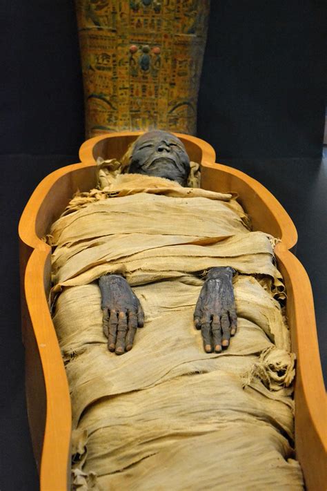 미라 피라미드 영 Pixabay의 무료 사진 Pixabay