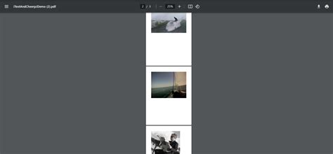 Cheerpj 30 Run Apps In The Browser With Webassembly The New Stack