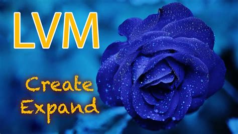 Create And Expand Lvm Volumes Step By Step Guide Opentechtips