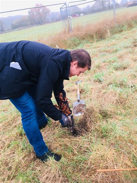 Tree Planting With Low Carbon Forest Of Hearts