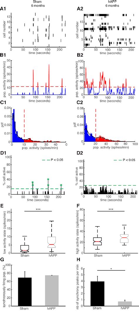 Neuronal Synchronicity Is Disrupted In The Pfc Of Happ Mice 6 Mpi A