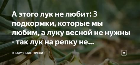 А этого лук не любит 3 подкормки которые мы любим а луку весной не нужны так лук на репку
