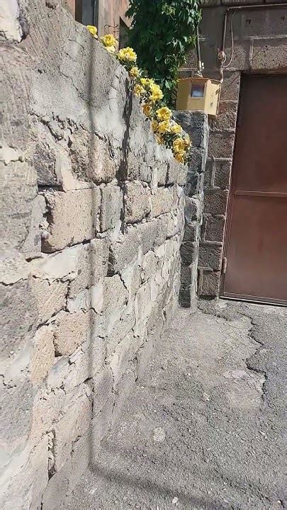 Սիրուն Youtube