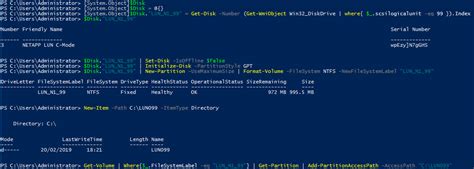 How To Get Lun Id And Mount New Raw Lun In A Folder Windows Server 2016