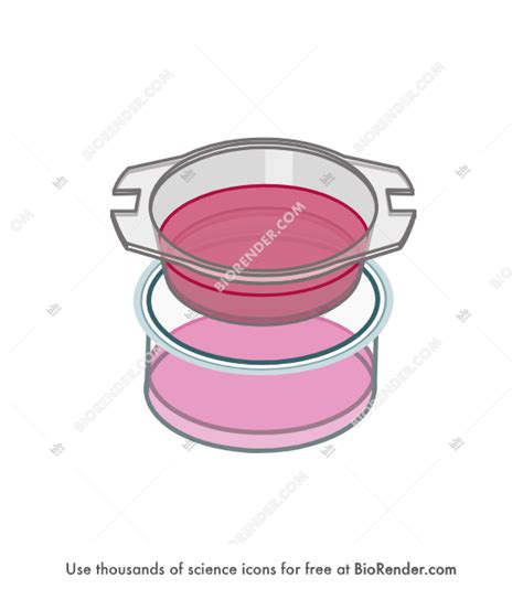 Free Cell Culture Insert Expanded Icons Symbols And Images Biorender