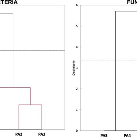Agglomerative Hierarchy Clustering Analysis BrayCurtis Method Of