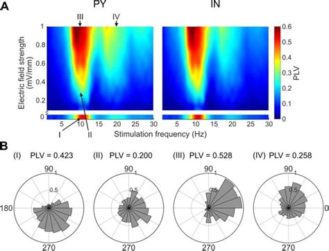 Intensity And Frequency Specific Effects Of Transcranial Alternating