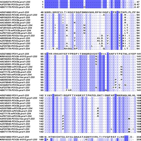 Multiple Sequence Alignment Of The Capsid Proteins Depiction Of