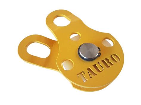 Recovery Snatch Block 10 Ton Landy Guru