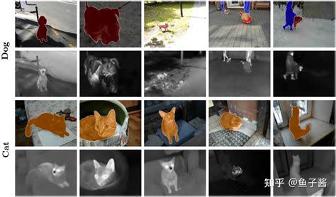 全！行人重识别数据集汇总（附下载） 知乎