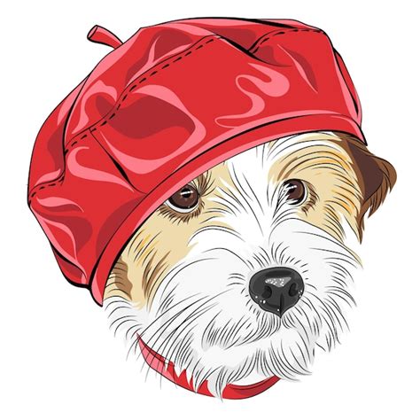 5 쪽 무료로 다운로드 가능한 털 벡터 And 일러스트 Freepik