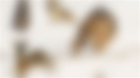 Николай Олейников 1932 Страшно жить на этом свете В нем отсутствует уют Александр