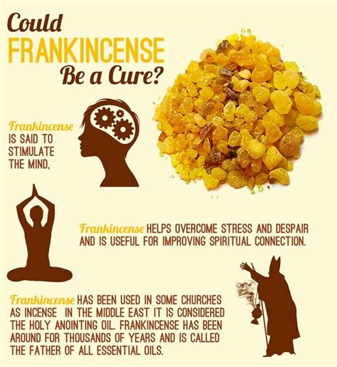 Pin By April Duffy On Medicinal Plants Essential Oils For Headaches
