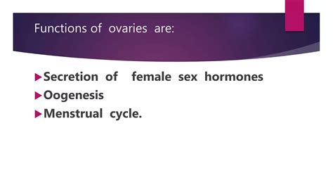 Female Reproductive System Pptx
