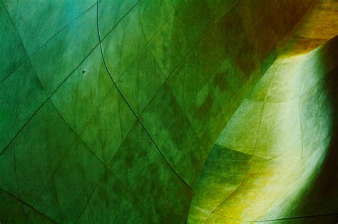 녹색 추상적 배경 기하학적 콘크리트 블록 모양 라인 벽 텍스처 0명에 대한 스톡 사진 및 기타 이미지 0명 2차 도형 3차원 형태 Istock